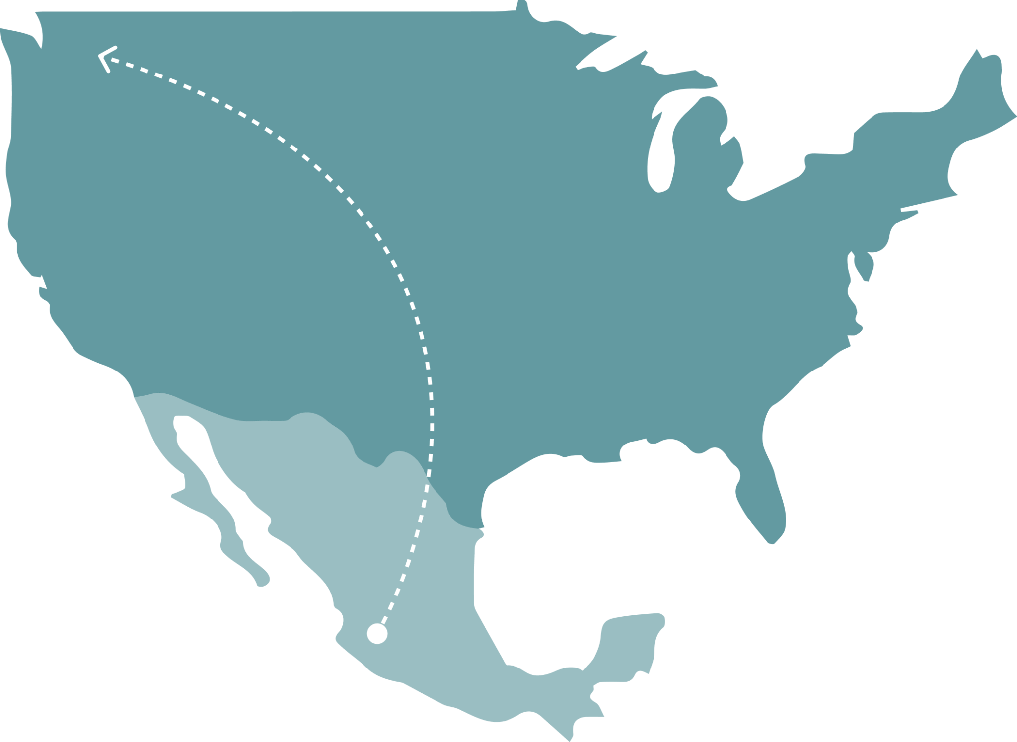About Hard Agave - Thorntail Hard Agave